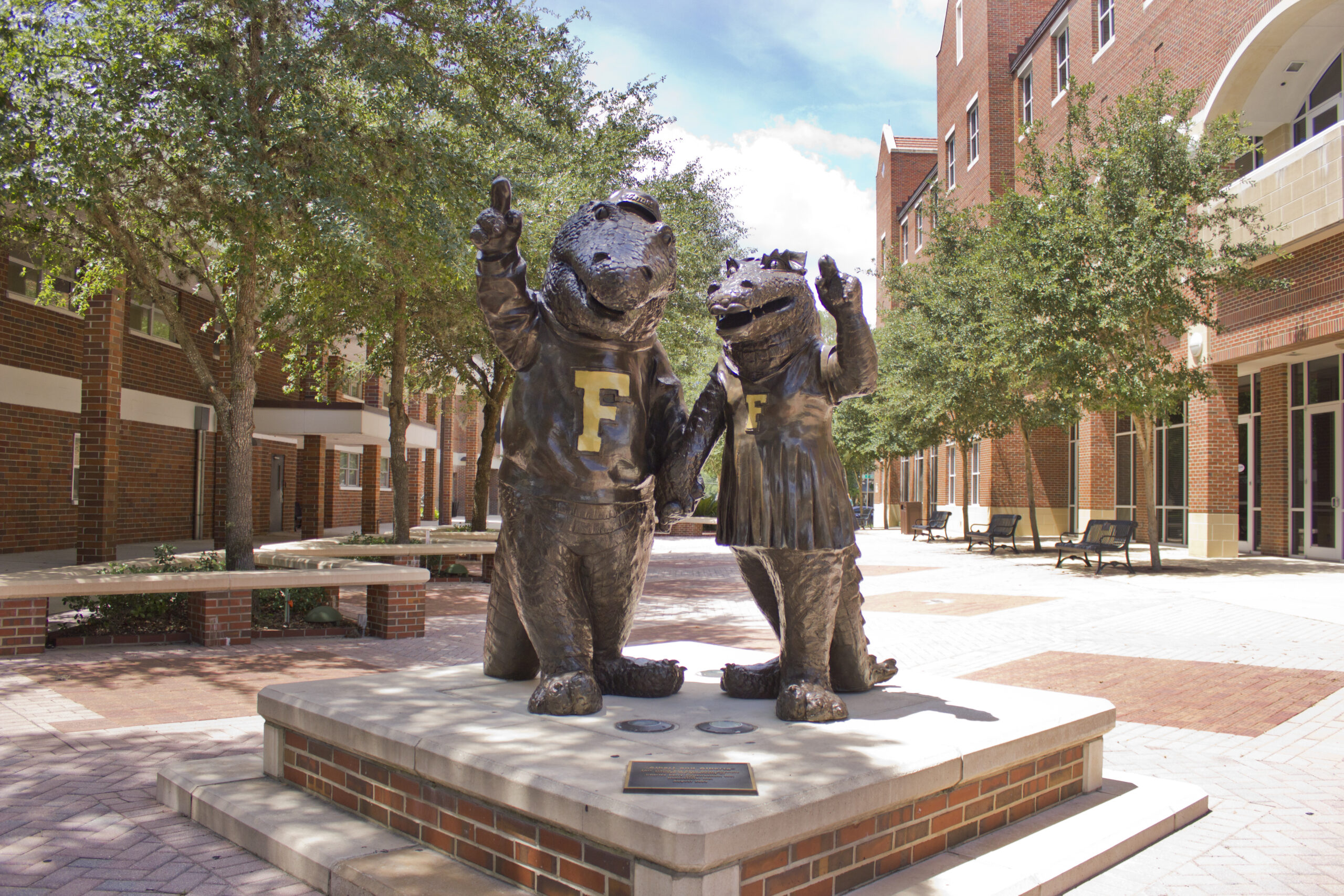 🏠 Dorm Life at the University of Florida: What Every New Gator Needs to ...